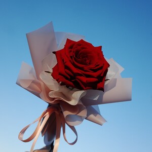 Preserved Red Single Rose Bouquet Which Can Last at Least 3 Years the ...