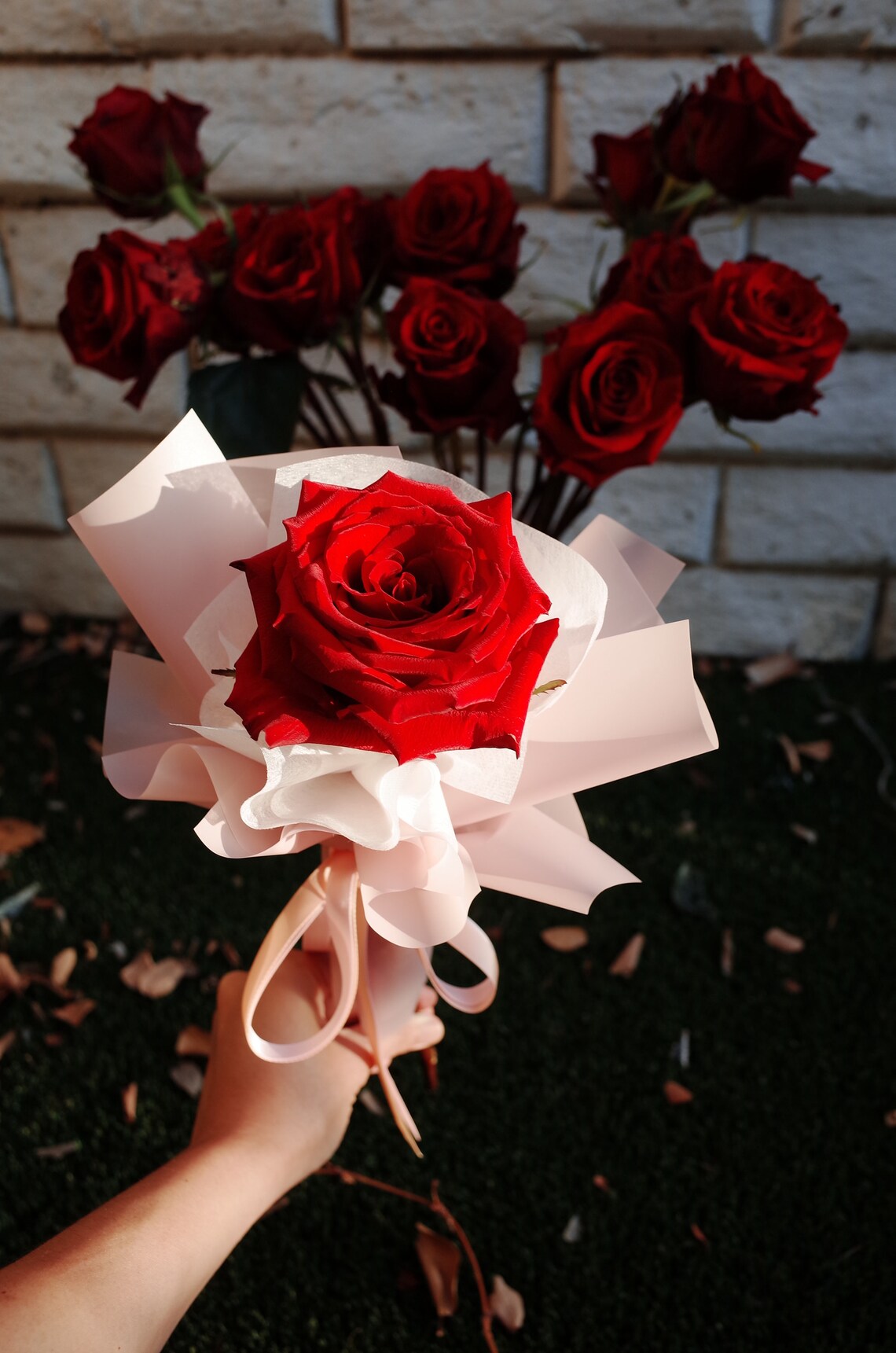 Preserved Red Single Rose Bouquet Which Can Last at Least 3 Years the ...