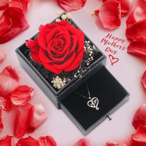 Preserved Eternal Real Rose Flower Gift Box With 14K Gold Plated Silver ...