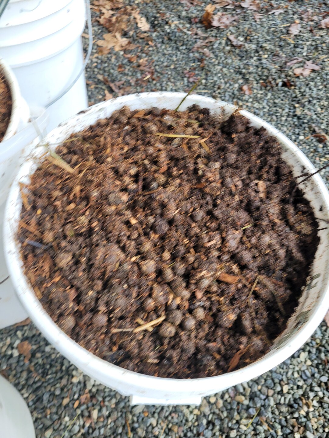 1 Gallon Bag Organic Rabbit Manure - Etsy
