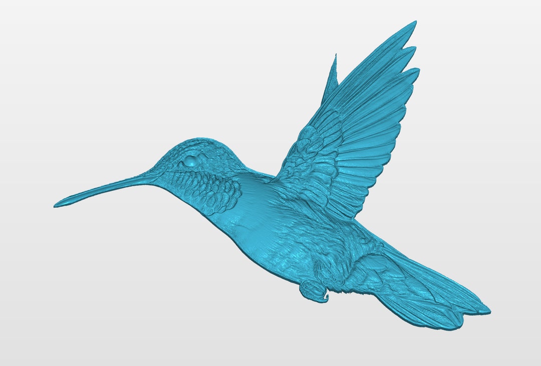 Hummingbird STL - Etsy
