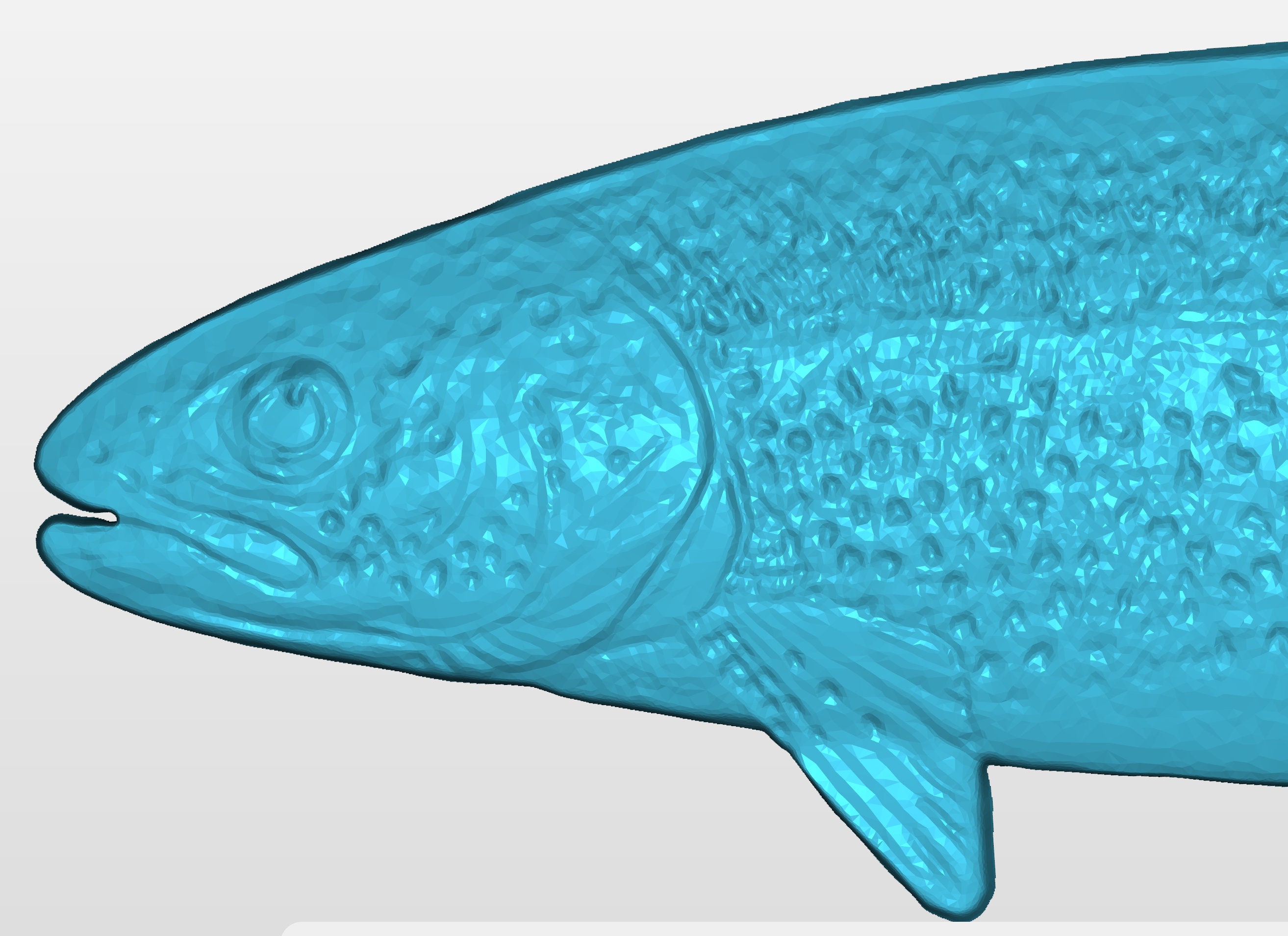 Rainbow Trout STL - Etsy