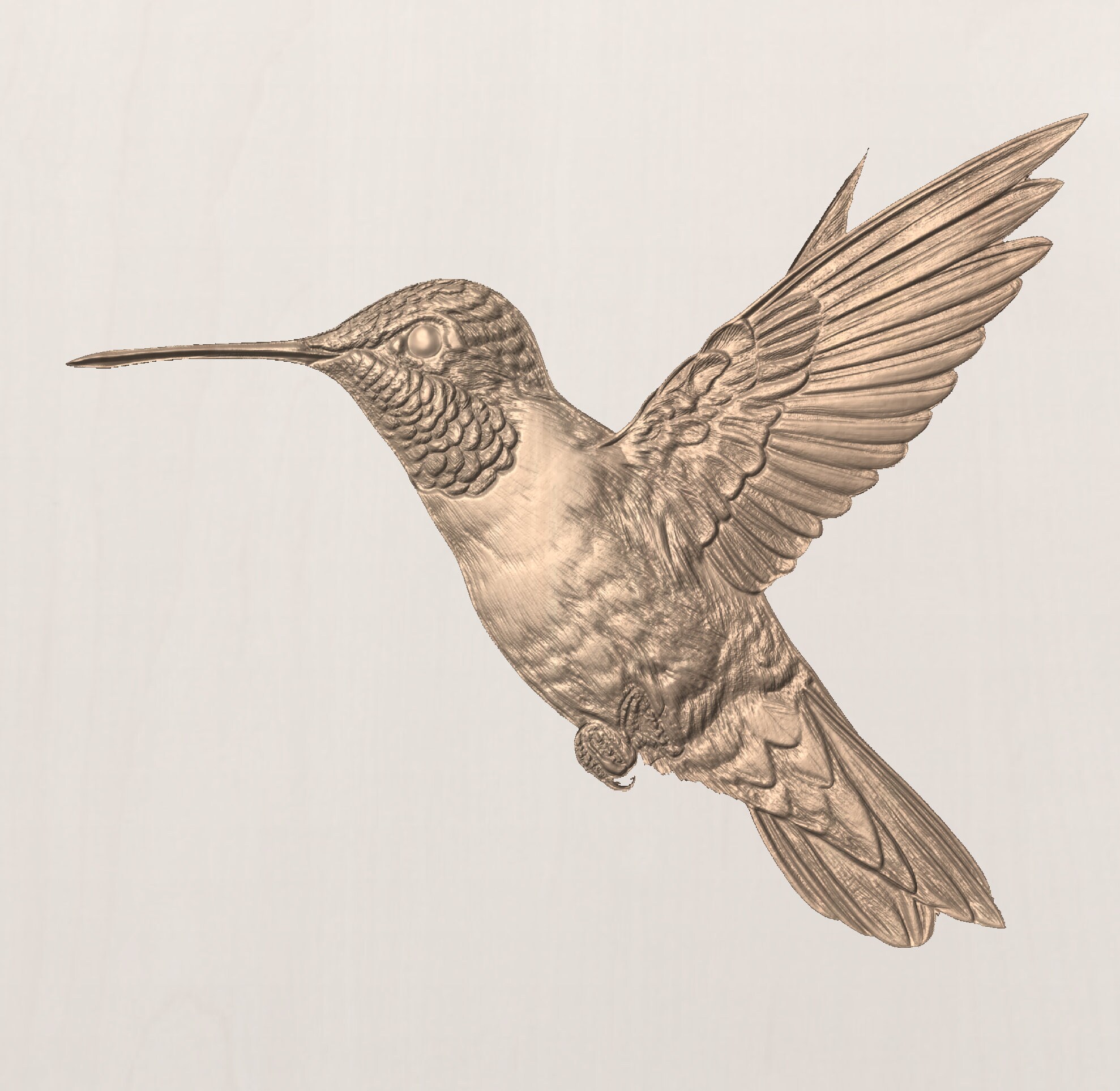 Hummingbird STL - Etsy