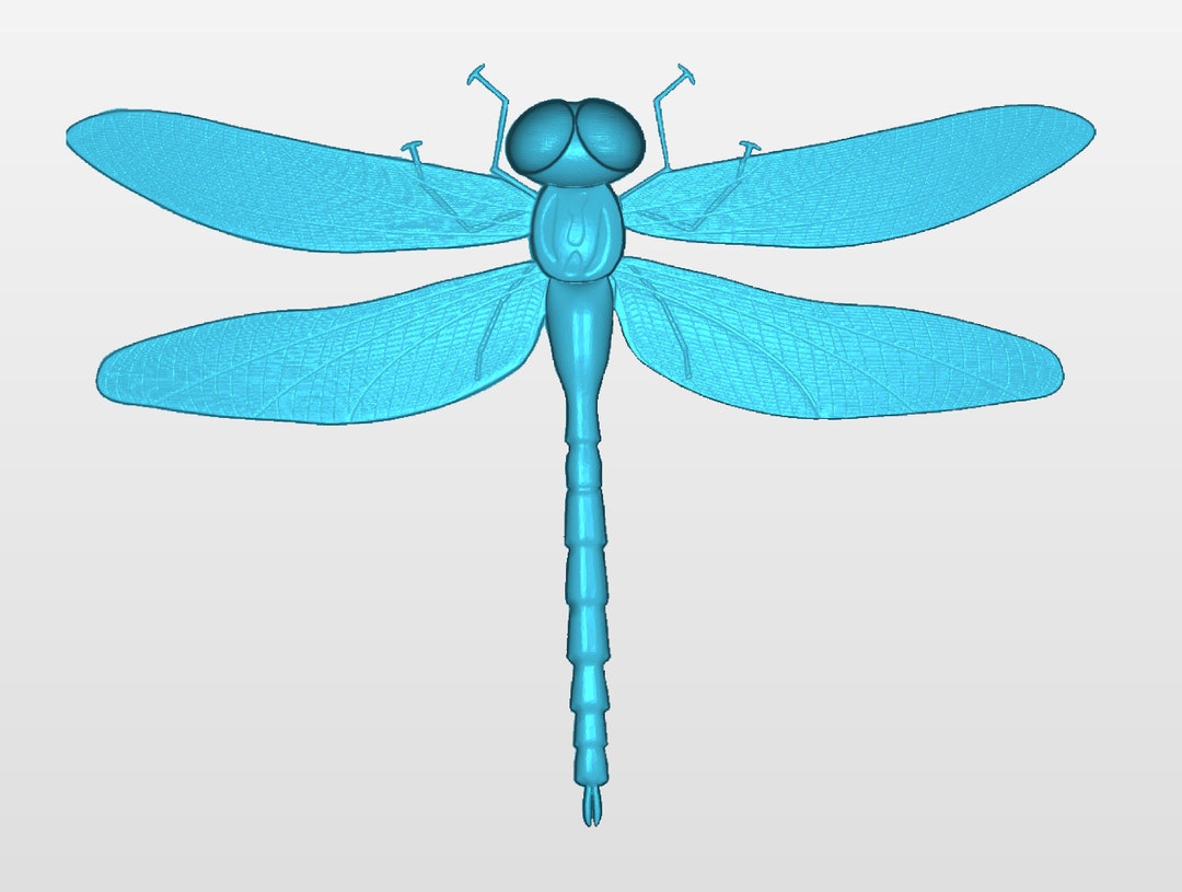 Dragonfly Bas Relief STL File: 3D Print Model - Etsy