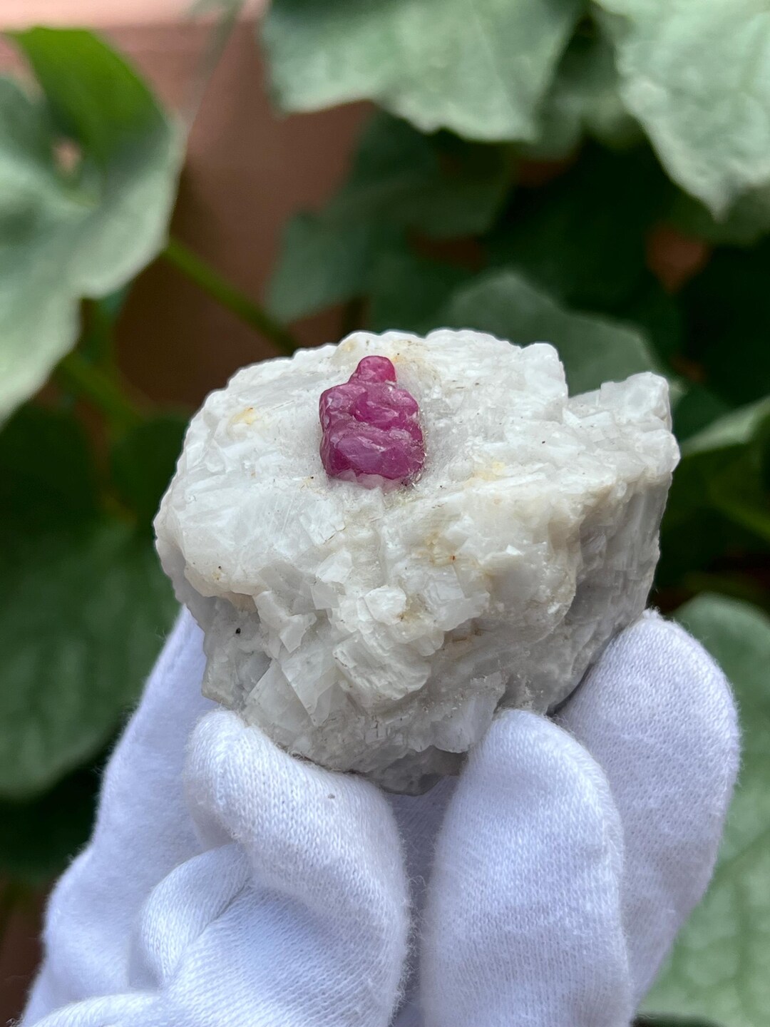 Museum-grade Ruby in Marble Specimen, Natural Crystal on Matrix ...