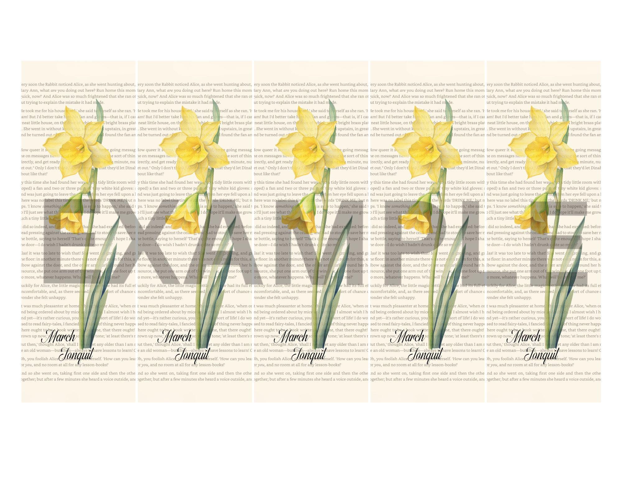 March Birth Flower Bookmarks Printable, Daffodil Bookmark, Jonquil ...