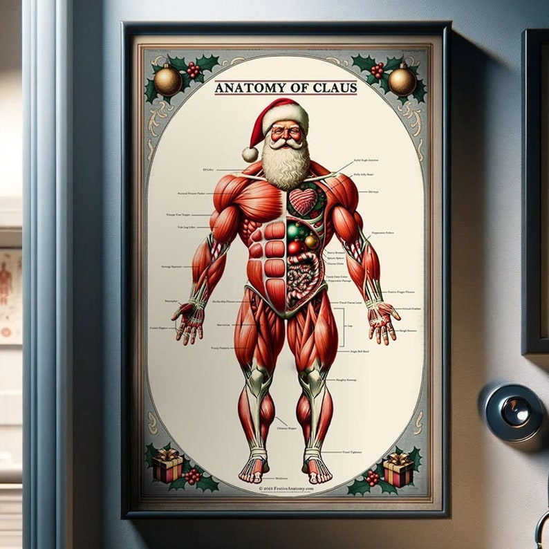 Santa Claus Anatomy Illustrated Poster – Detailed Illustration of a ...