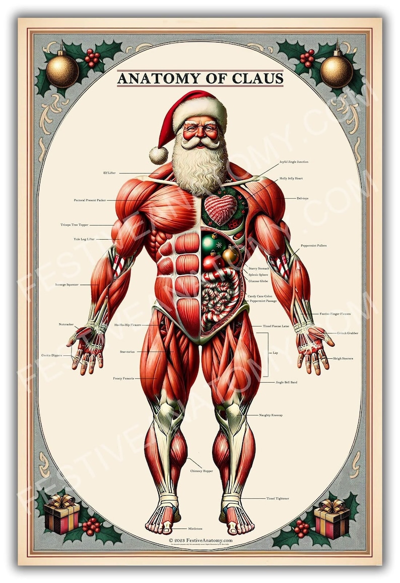 Santa Claus Anatomy Illustrated Poster – Detailed Illustration of a ...
