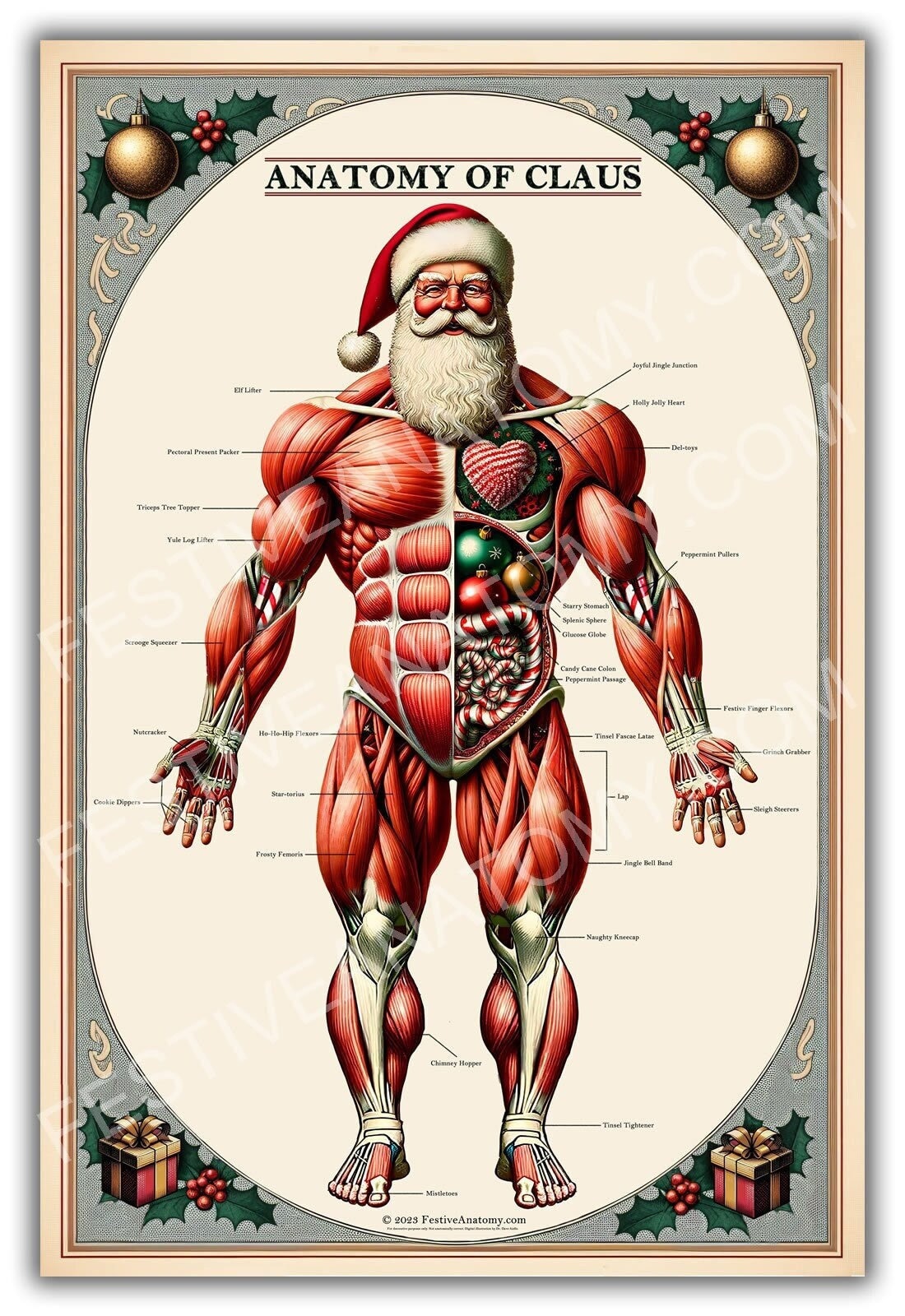 Santa Claus Anatomy Illustrated Poster – Detailed Illustration of a ...
