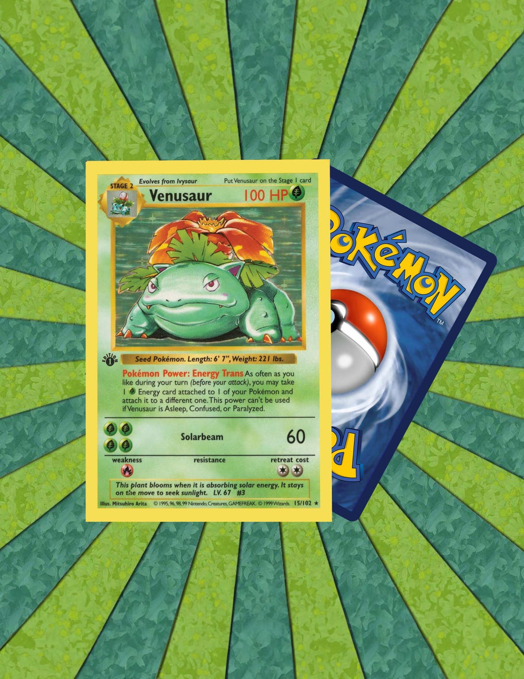 Custom-made 1999 1st Edition Venusaur 15/102 - Etsy