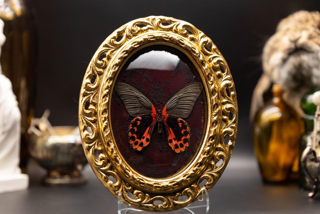 Scarlet Mormon in Vintage Oval Frame - Etsy