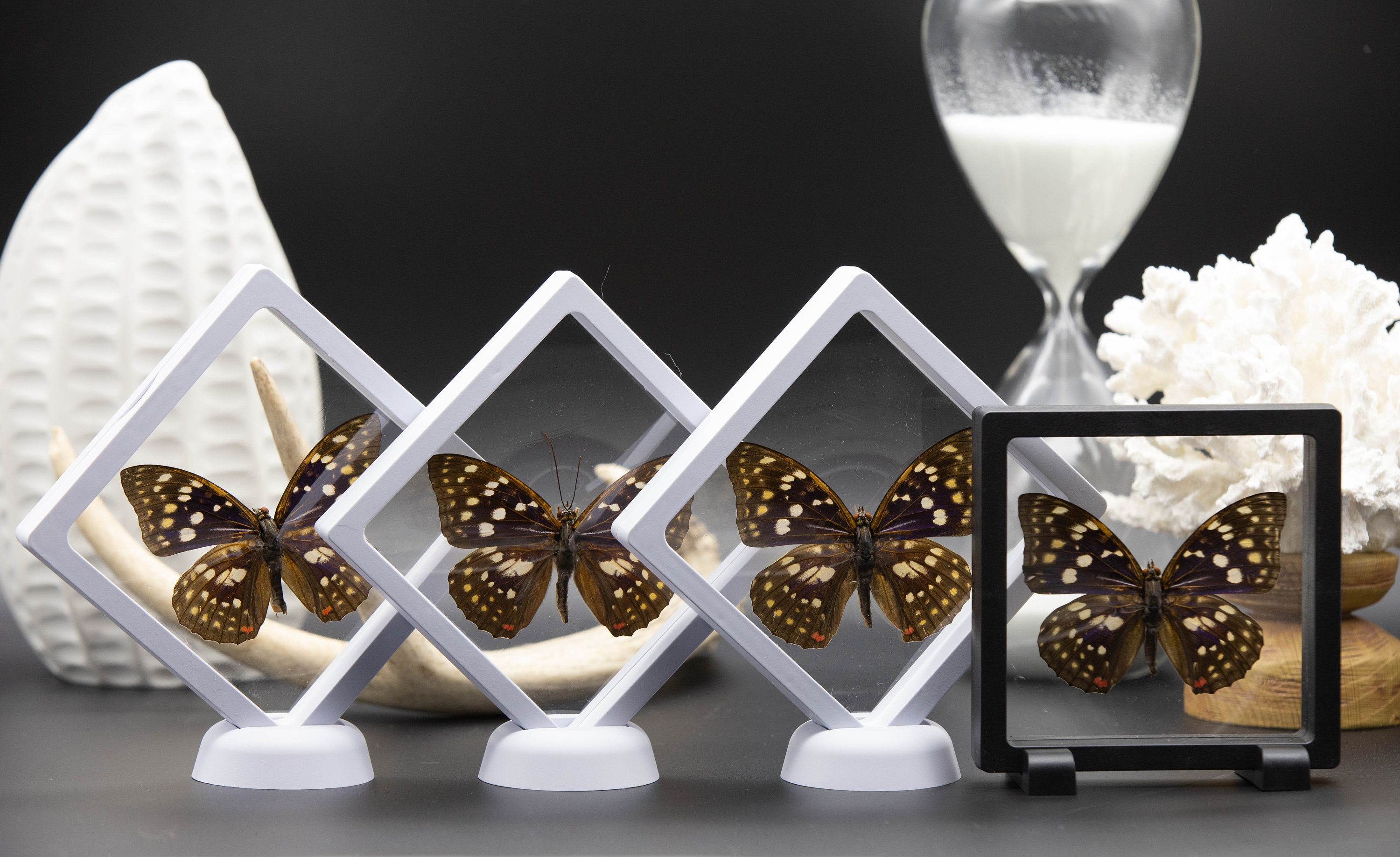 Real Butterfly in a 3D Floating Frame - Etsy