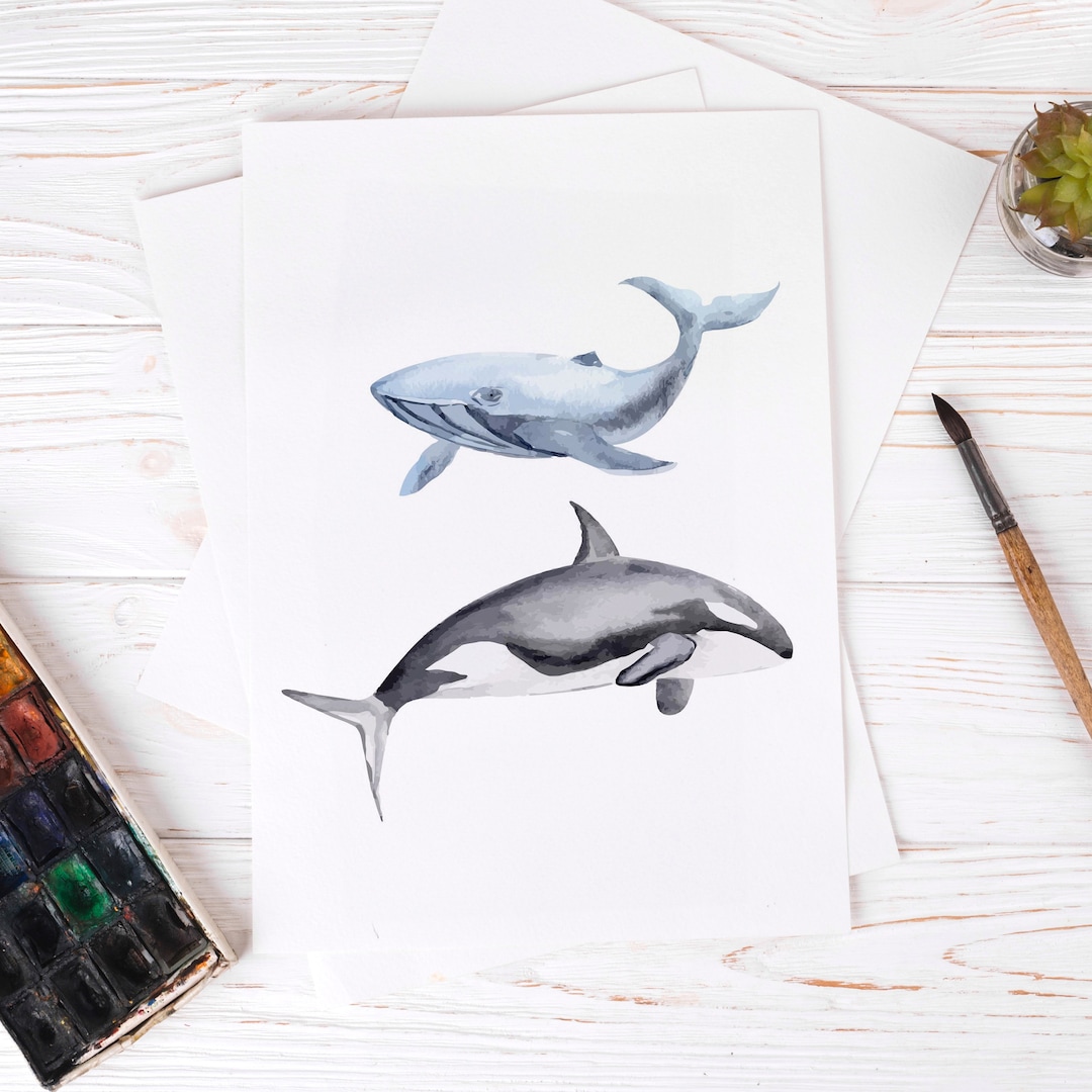 Whales Paint by Number Kit, Painting on Canvas, Kids Adult Crafting Kit ...