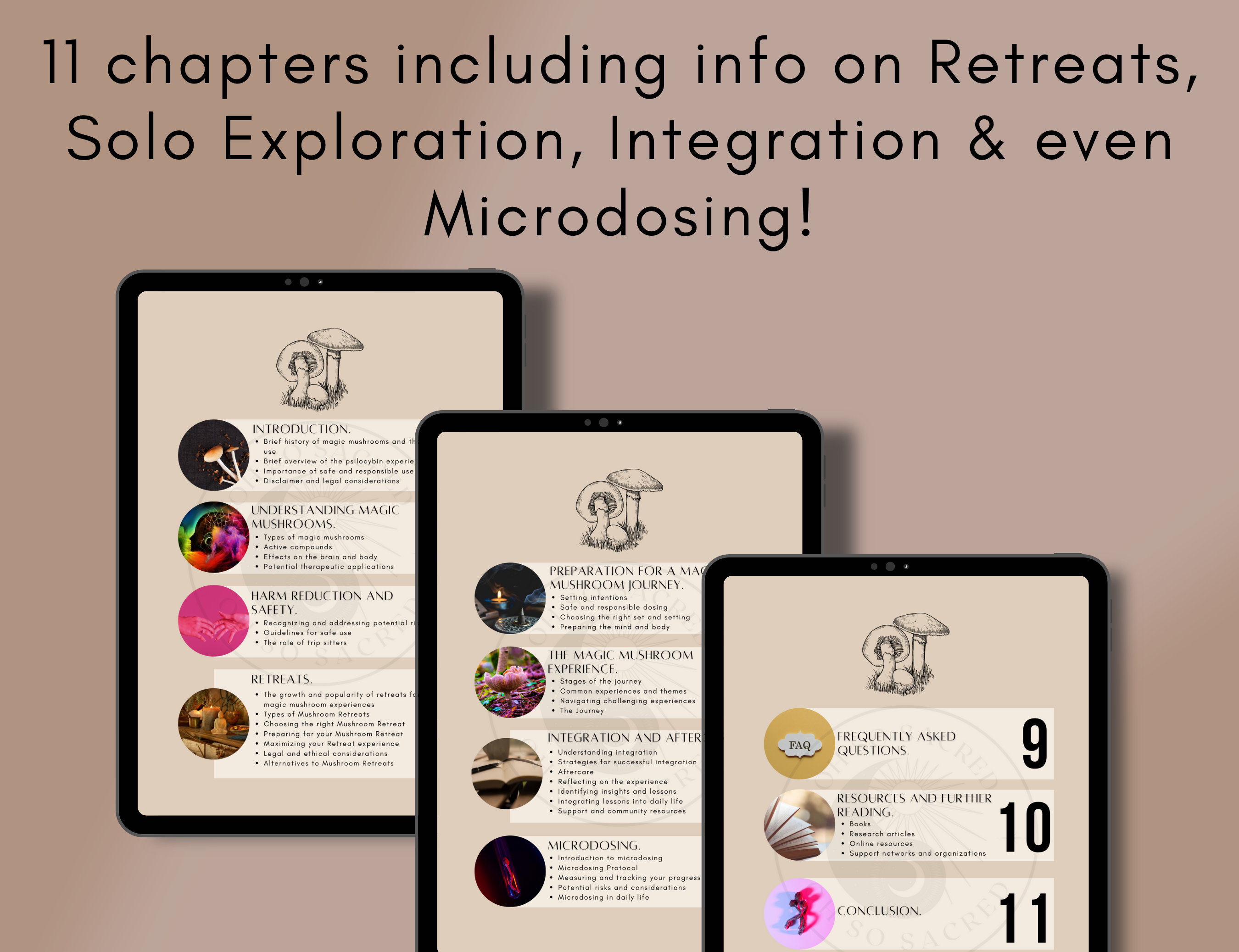 Magic Mushroom Guide & Journal | Printable Comprehensive Worksheets ...