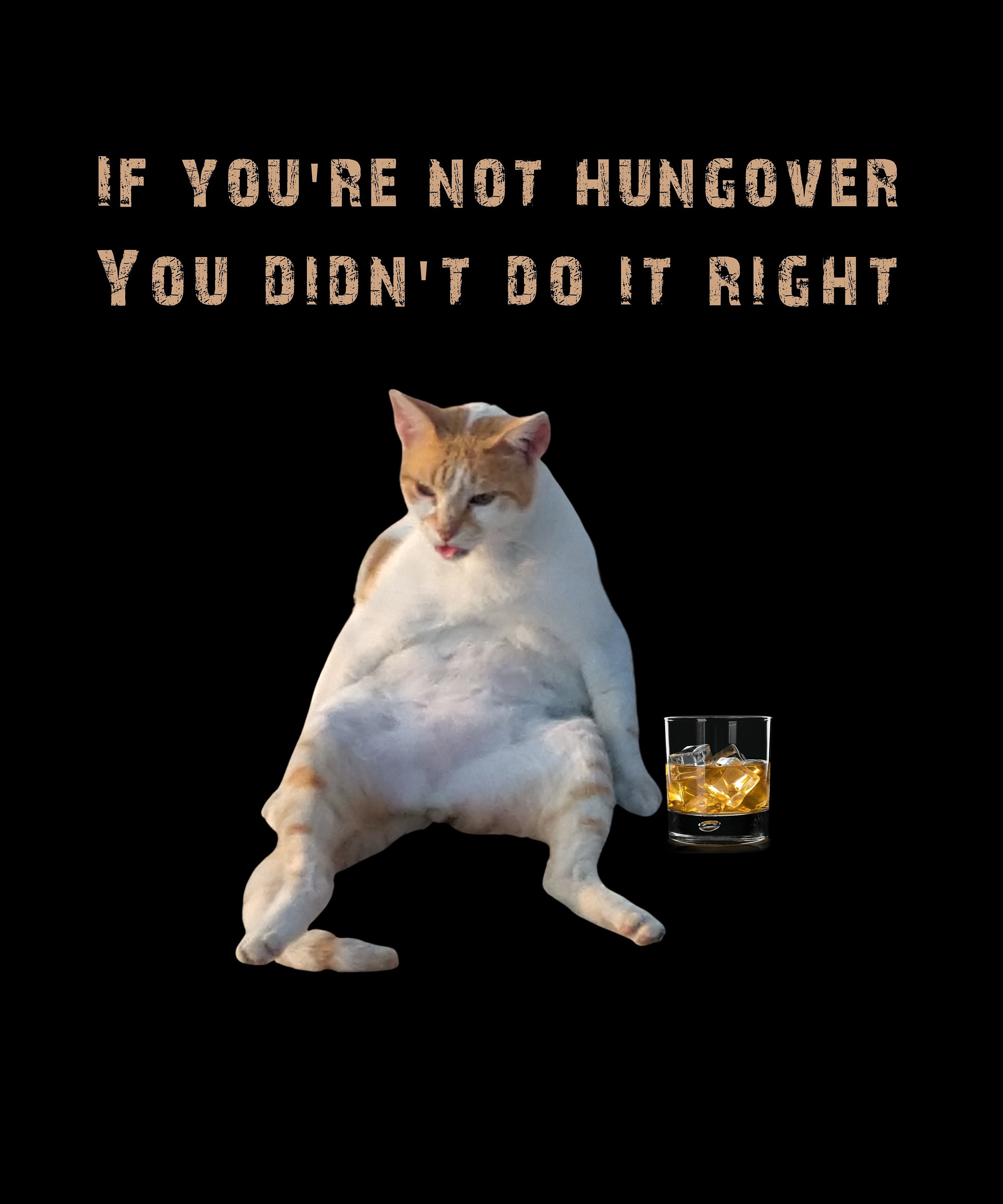 Hangover Cat, Funny Png, Jpeg, If You're Not Hangover. You Didn't Do It ...