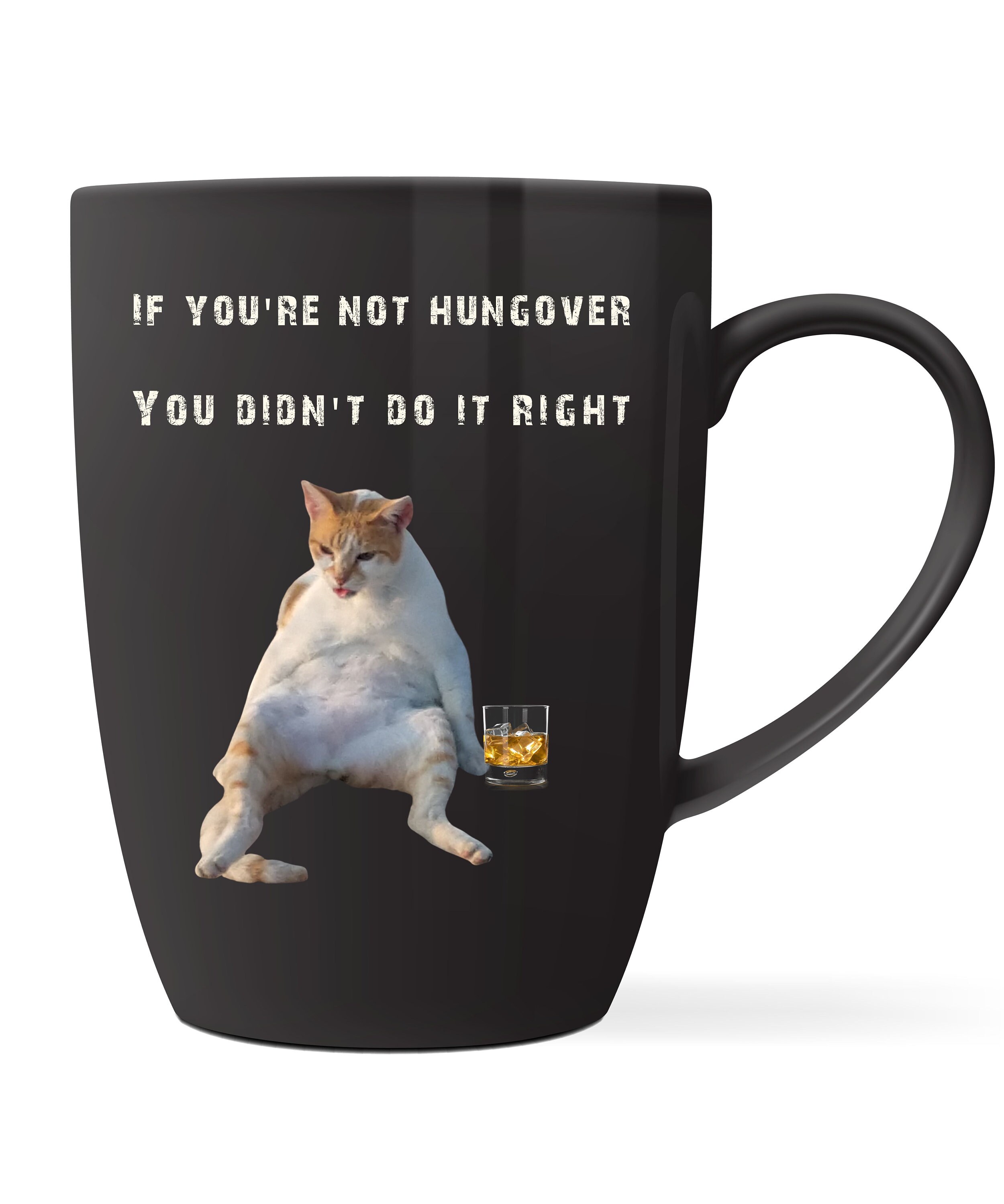 Hangover Cat, Funny Png, Jpeg, If You're Not Hangover. You Didn't Do It ...