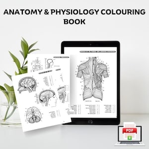 Colouring Book, 130+pages, the Complete Anatomy Colouring Book, Human ...