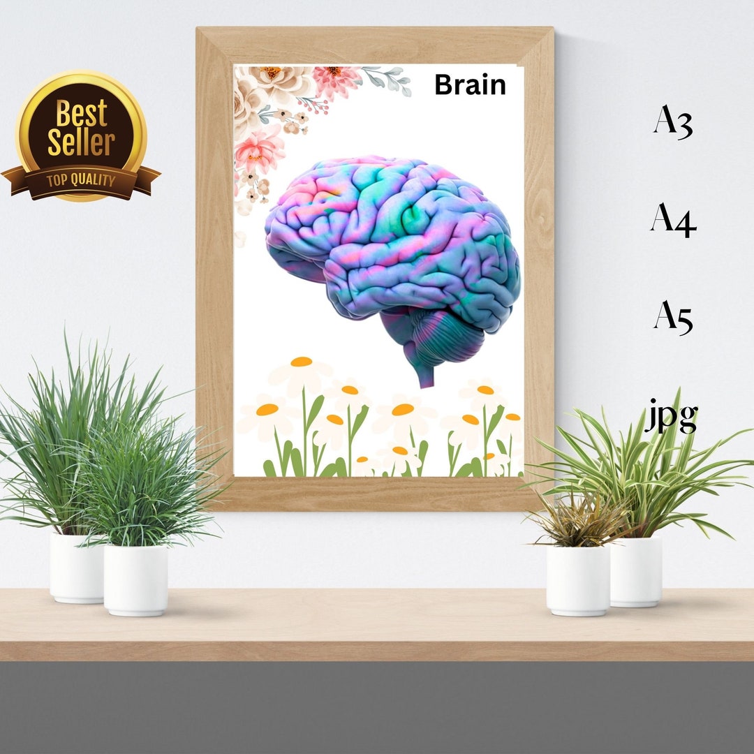 Brain Wall Art, Printable Brain, Neuroscience, Human Anatomy ...