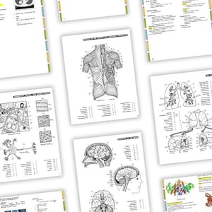 Colouring Book, 130+pages, the Complete Anatomy Colouring Book, Human ...