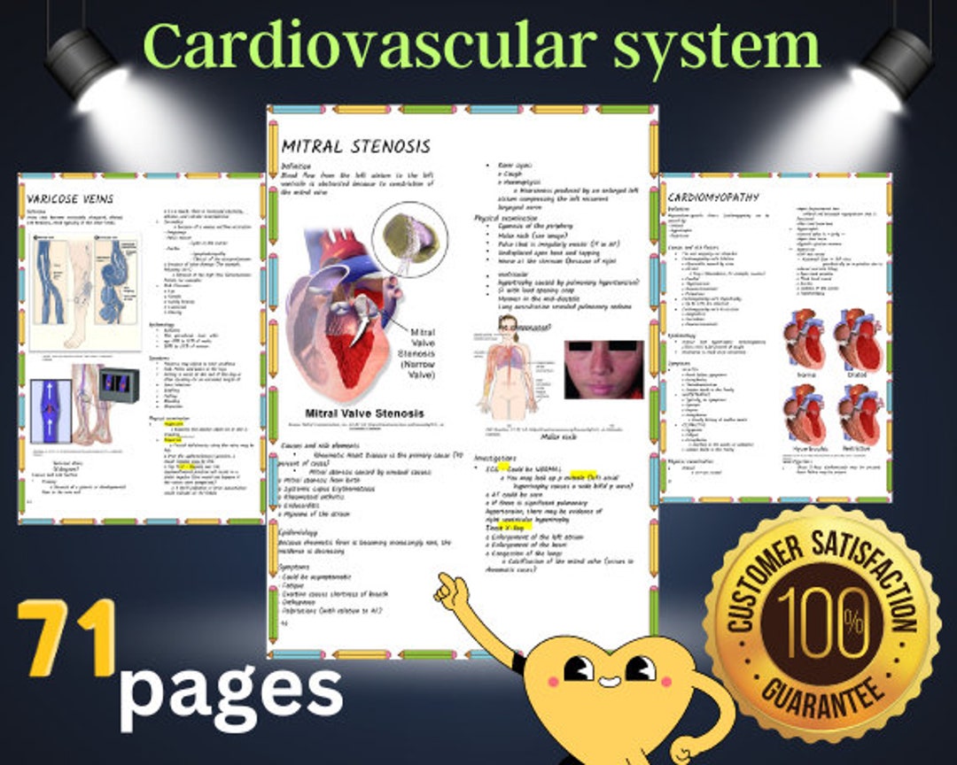 Cardiovascular Notes, Nursing Notes, Nurse in the Making, Nursing Study ...
