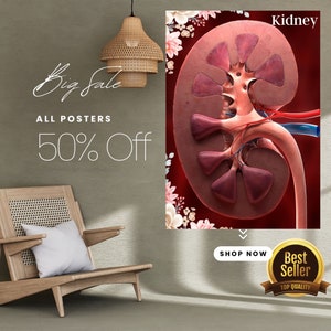 Medical Art Print, Human Kidney, Anatomy Art, Doctor Office Decor ...