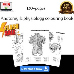 Colouring Book, 130+pages, the Complete Anatomy Colouring Book, Human ...