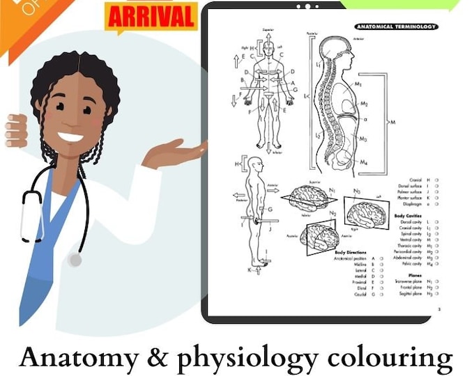 Educational Anatomy Coloring Page Fun Anatomy Notes College Anatomy and ...