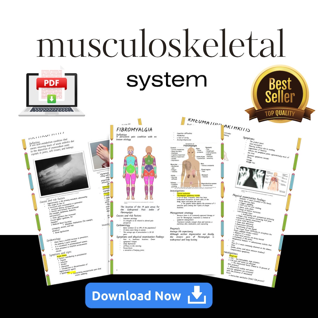 Musculoskeletal Notes, Nursing Notes, Nurse in the Making, Nursing ...