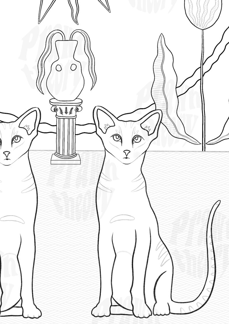 Cats and Sun Coloring Page digital Download of Files - Etsy
