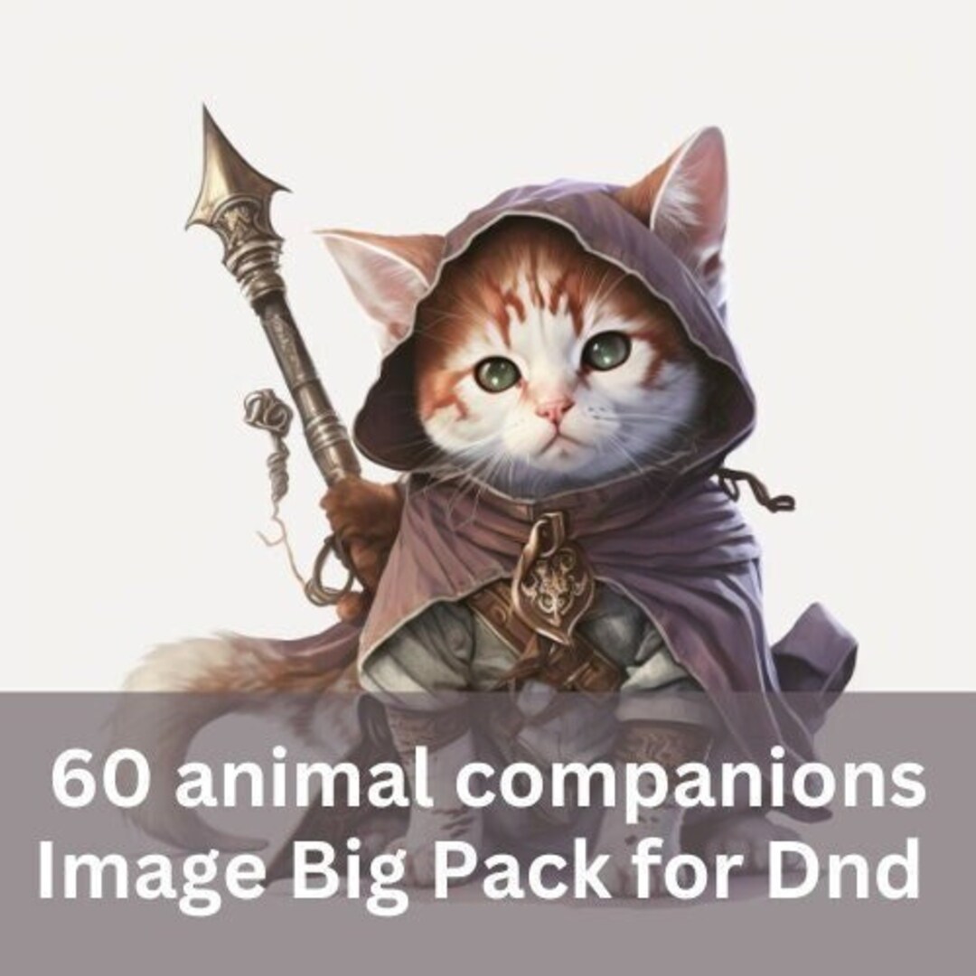 Dnd Big Pack 60 Animal Companions / Familiar Pictures for - Etsy