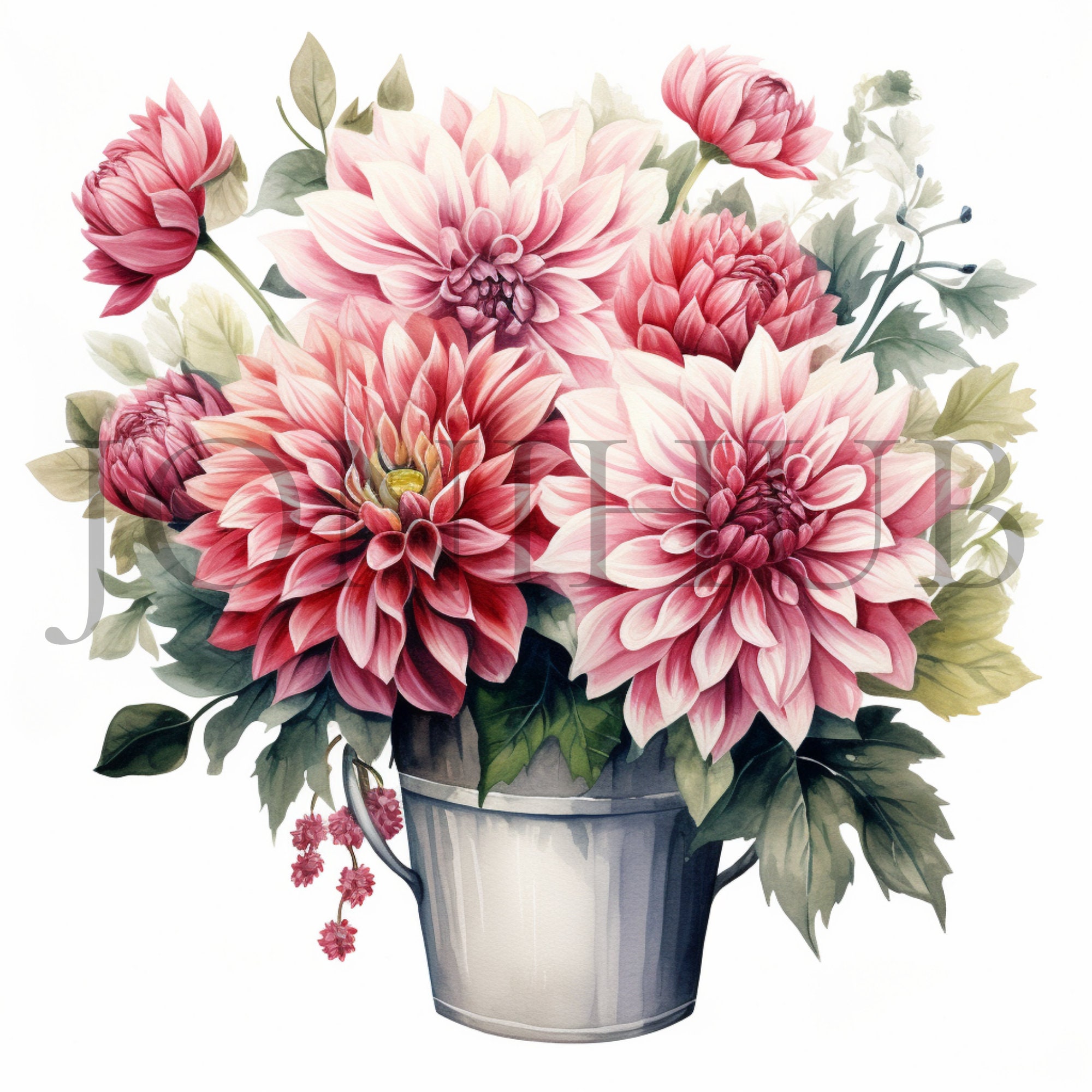 Dahlias Bucket Clipart | 10 High Quality Jpg's | Digital Download ...