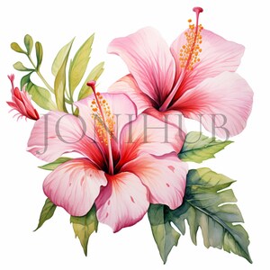 Watercolor Tropical Flowers Clipart | 10 High Quality Jpg's | Digital ...