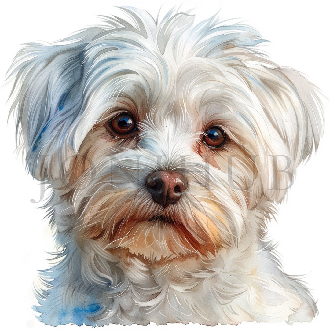 Fluffy Dog Clipart | 10 High Quality Jpg's | Digital Download | Card ...