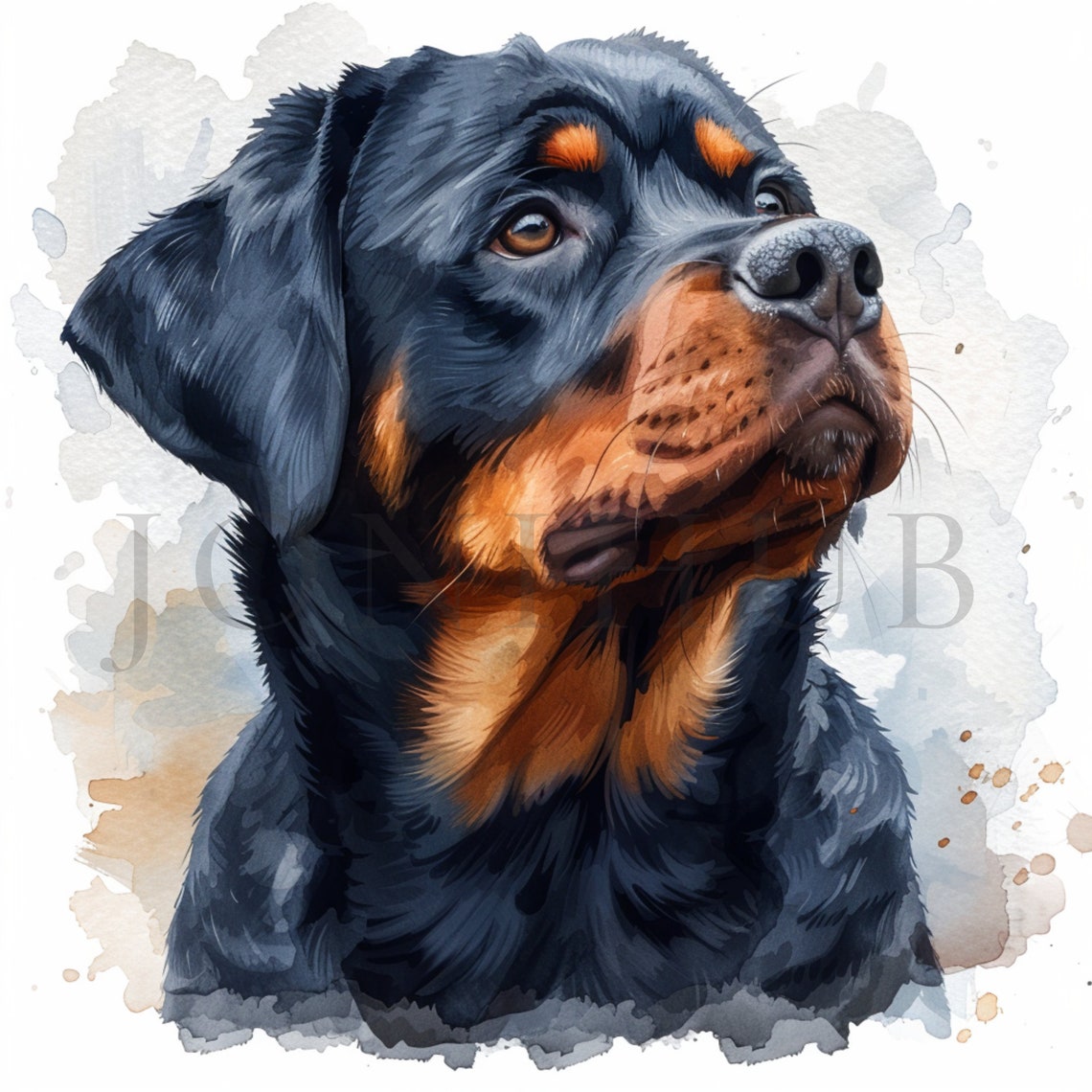 Watercolor Rottweiler Clipart 10 High Quality Jpgs Digital Download Dog ...