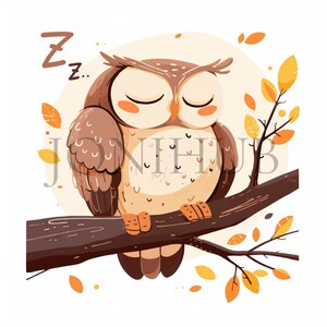 Sleepy Owls Clipart | 10 High Quality Jpg's | Digital Download | Bird ...