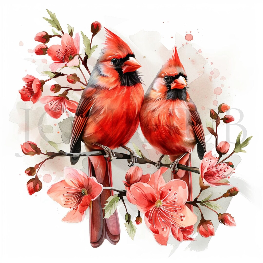 Cardinal Friends Flowers Clipart | 10 High Quality Jpgs | Instant ...