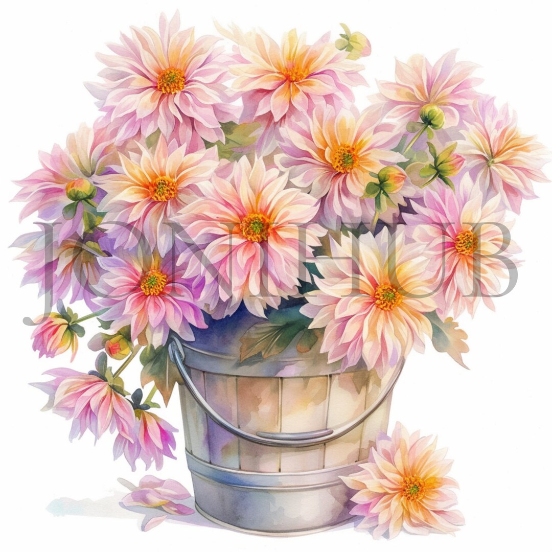 Dahlias Bucket Clipart | 10 High Quality Jpg's | Digital Download ...