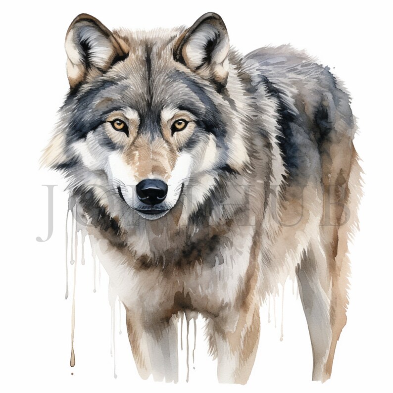 Grey Wolf Clipart 10 High Quality Jpg's Instant Digital Download Wolves ...
