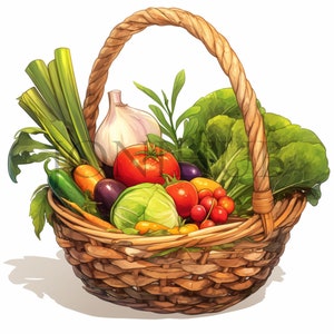 Vegetable Basket Clipart | 10 High Quality Jpg's | Digital Download ...