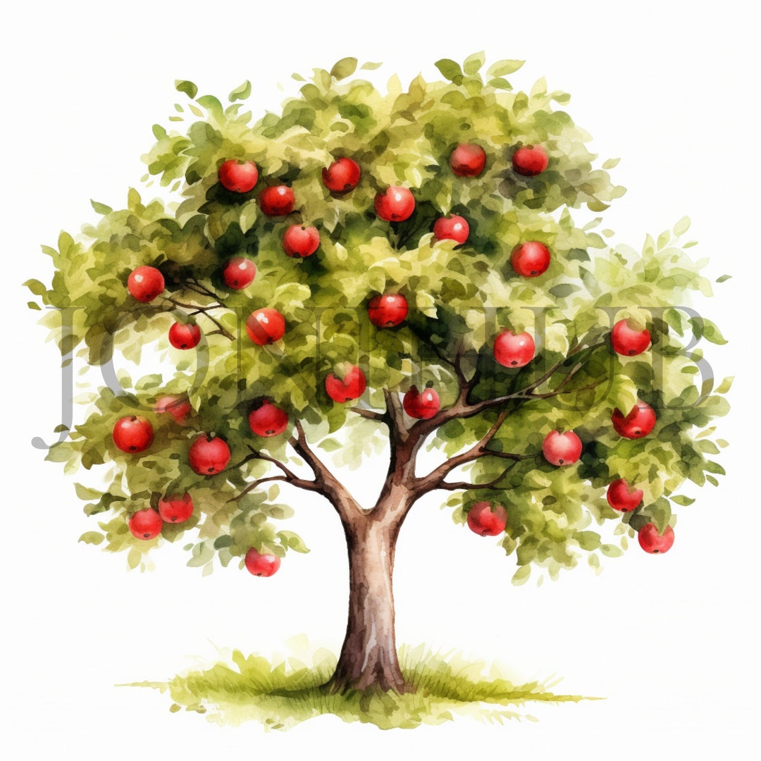 Watercolor Apple Trees Clipart | 10 High Quality Jpg's | Digital ...
