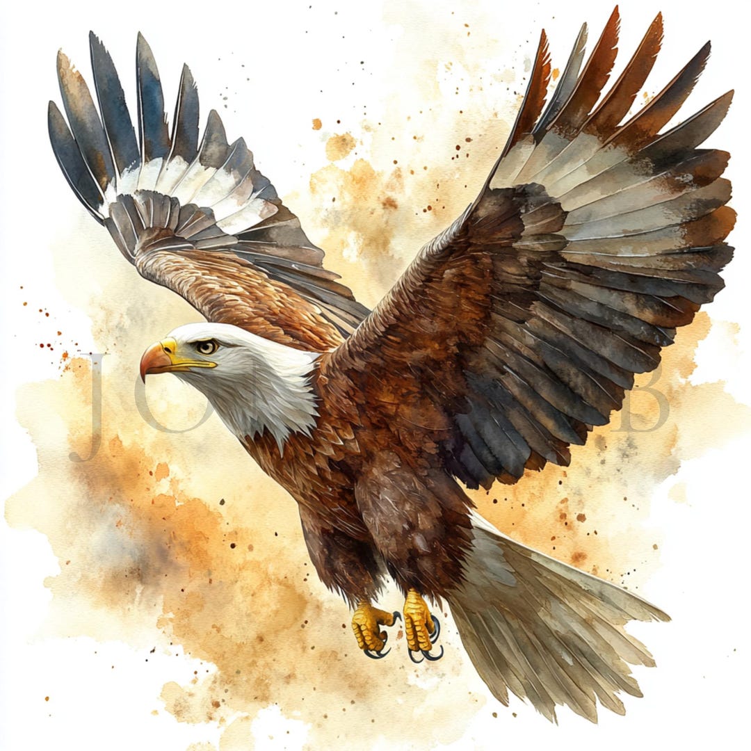 Vintage Eagle Clipart | 10 High Quality Jpgs | Digital Download | Card ...
