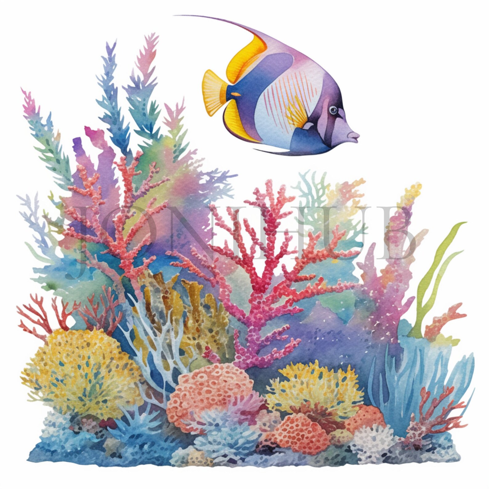 Vibrant Coral Reef Fish Clipart 10 High Quality Jpg's Digital Download ...