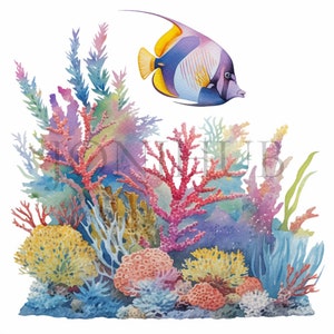Vibrant Coral Reef Fish Clipart | 10 High Quality Jpg's | Digital ...