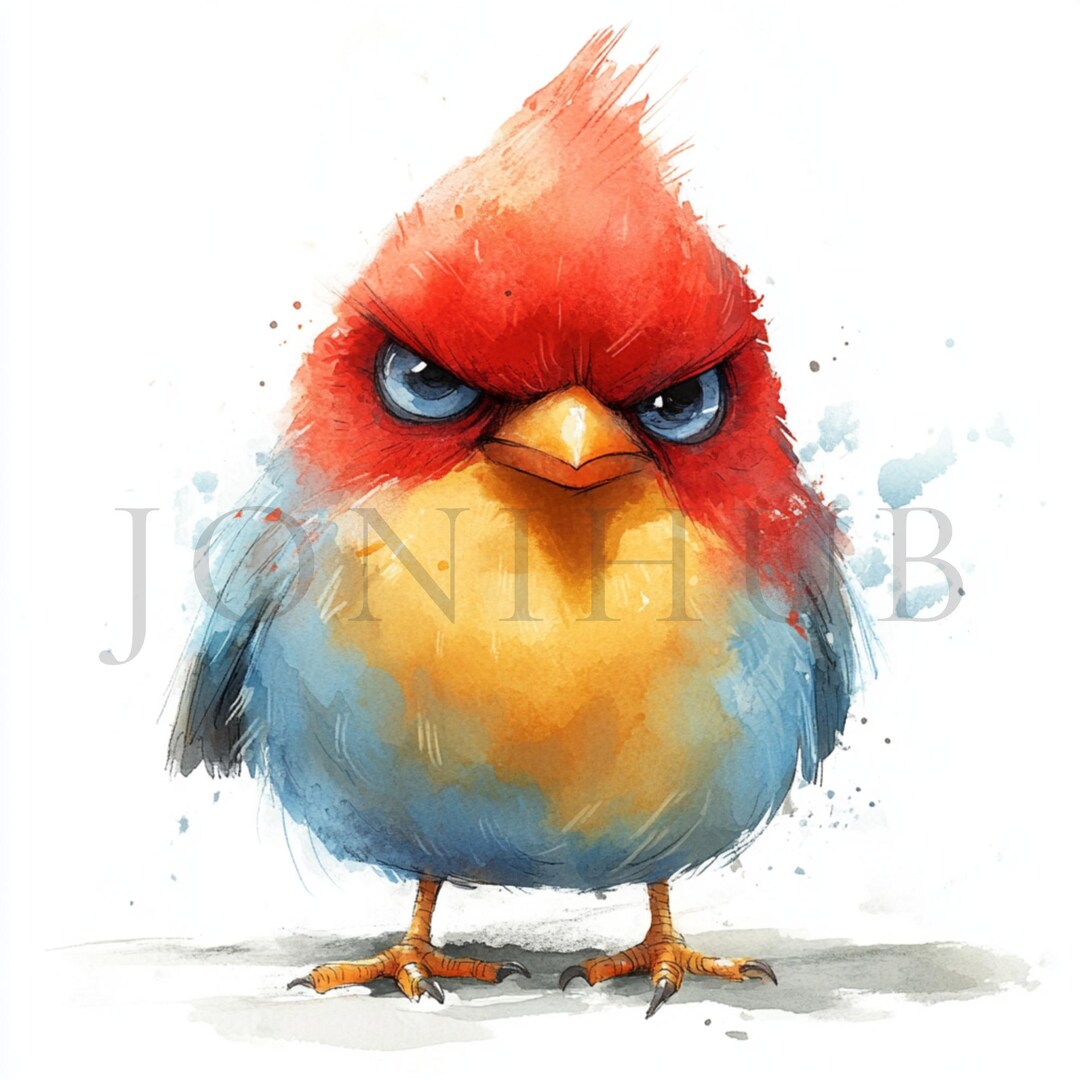 Grumpy Birds Clipart | 10 High Quality Jpgs | Digital Download | Cute ...