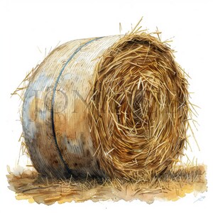 Hay Bale Clipart | 10 High Quality Jpg's | Digital Download | Clipart ...