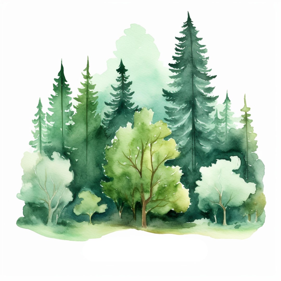Watercolor Forest Clipart | 10 High Quality Jpegs | Misty Forest ...