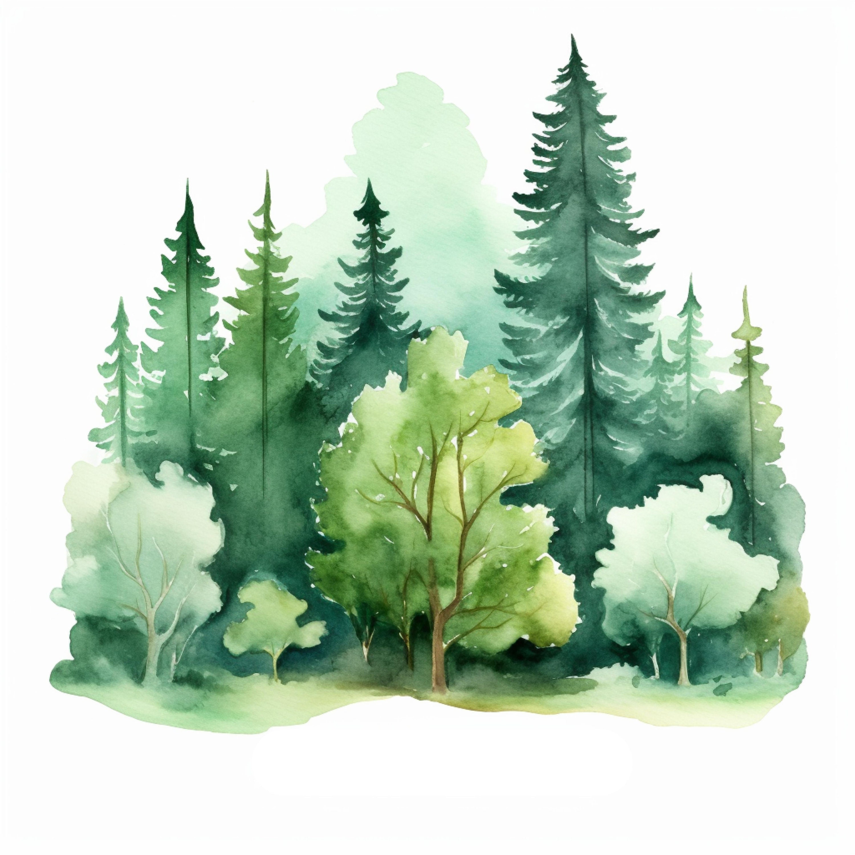 Watercolor Forest Clipart | 10 High Quality Jpegs | Misty Forest ...