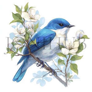 Spring Blue Bird Clipart | 10 High Quality Jpg's | Digital Download ...