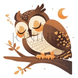 Sleepy Owls Clipart | 10 High Quality Jpg's | Digital Download | Bird ...