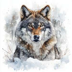 Wolf in Winter Clipart 10 High Quality Jpgs Digital Download Wild ...
